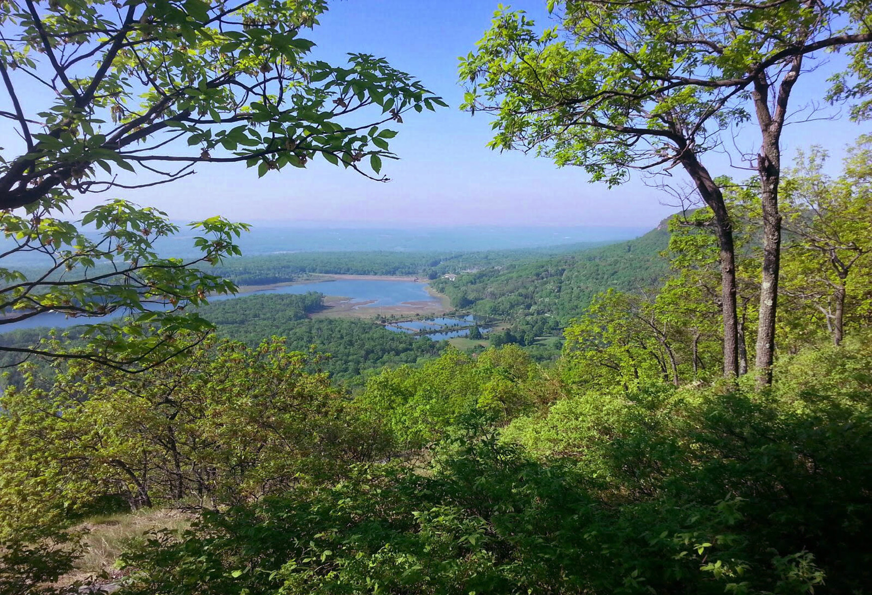 Rewild New Jersey Community Cooperative (RNJCC) – A social take on ...