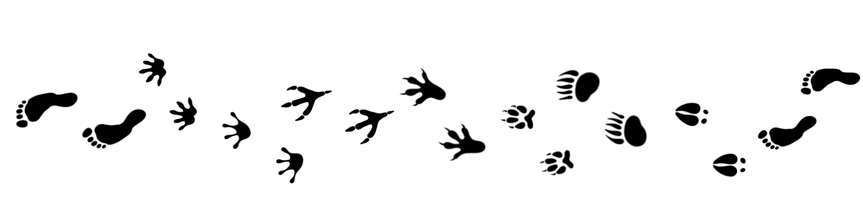 Community Blog – Rewild New Jersey Community Cooperative (RNJCC)